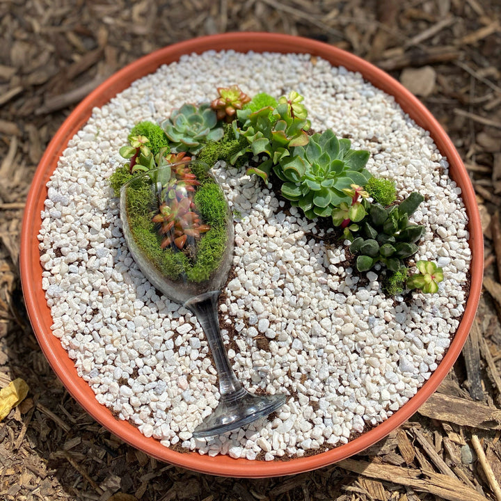 BloomBox – The BloomBox