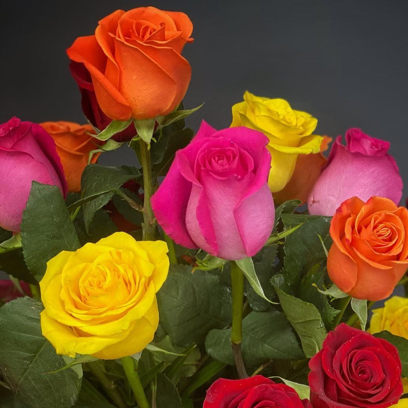 Classic Roses Vased – The BloomBox