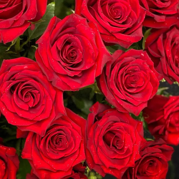 Classic Roses Vased – The BloomBox