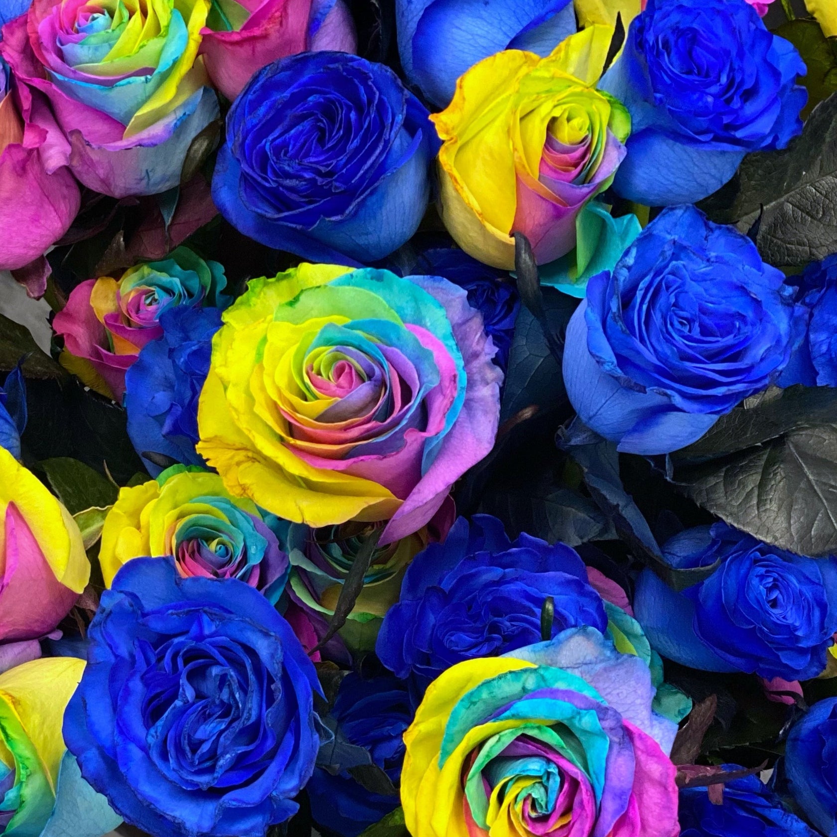 Classic Roses Vased – The BloomBox